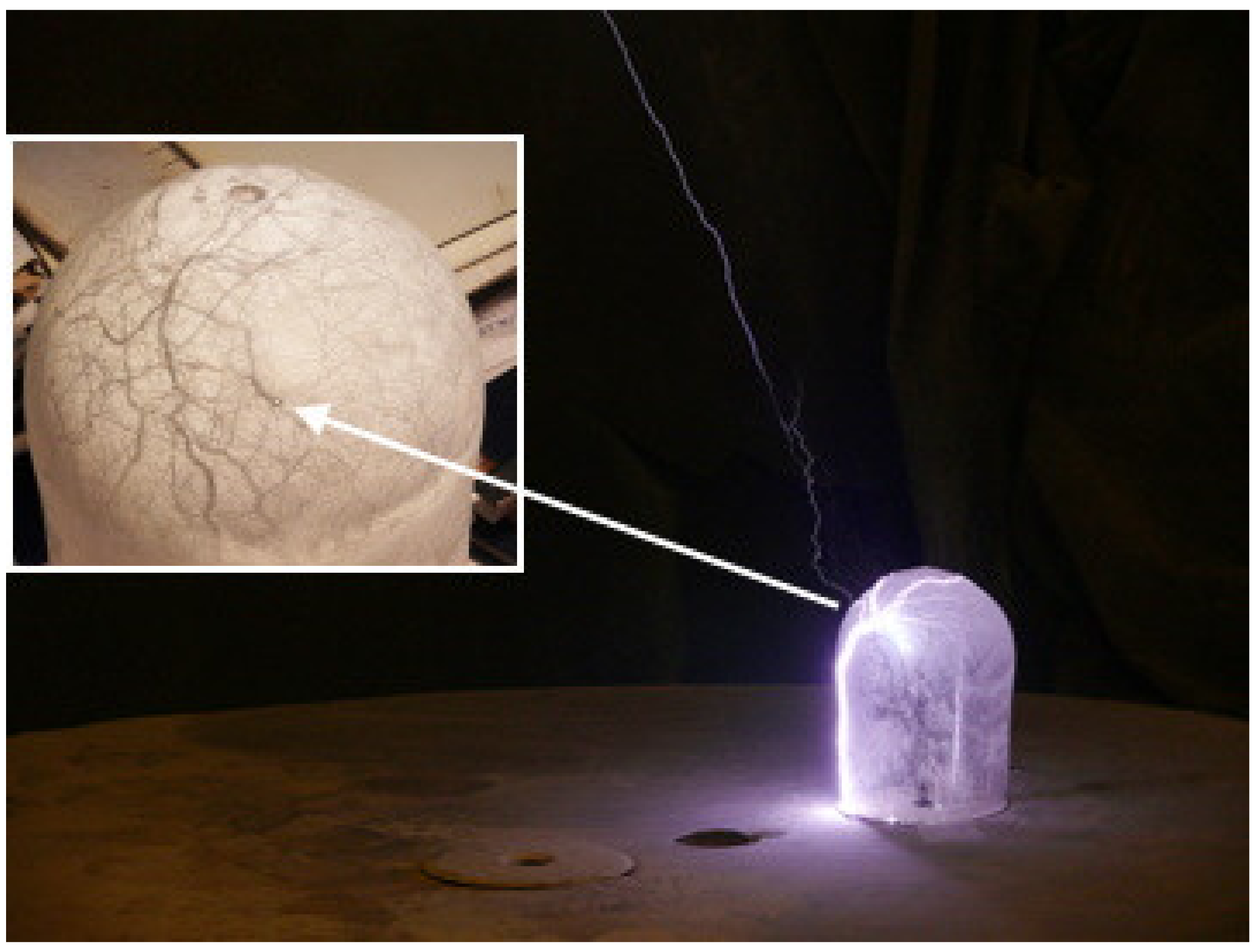 A Laboratory Investigation of the Probable Mechanisms of the Action of ...