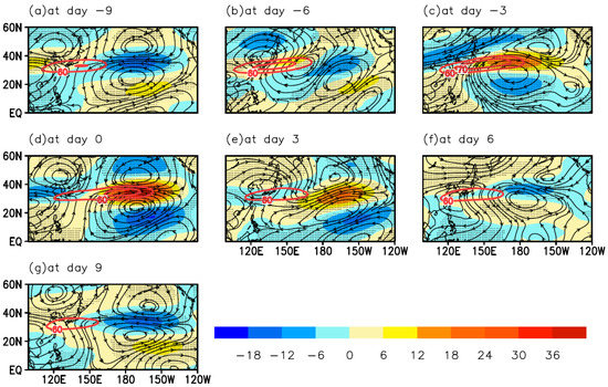 The Zonal Wind Intraseasonal Oscillation in the Exit Region of the East ...