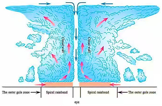 Typhoon Resistance Analysis of Offshore Wind Turbines: A Review