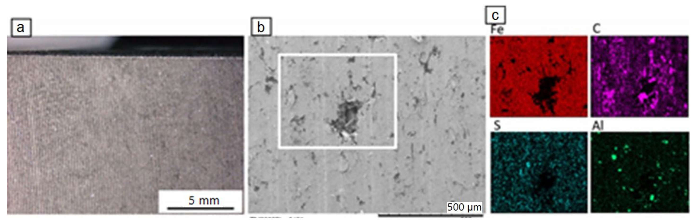 Electron Microscopic Characterization of the Brake Assembly Components ...