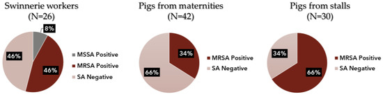 MRSA Colonization in Workers from Different Occupational Environments—A ...