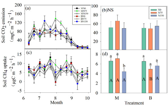 Soil Enzyme Activity Regulates the Response of Soil C Fluxes to N ...