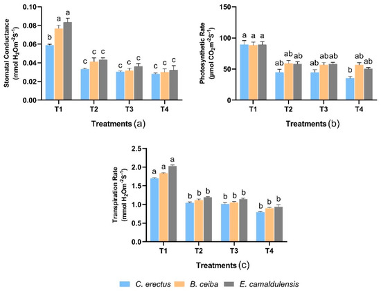 Atmosphere | Free Full-Text | Effect of Dust Types on the Eco ...