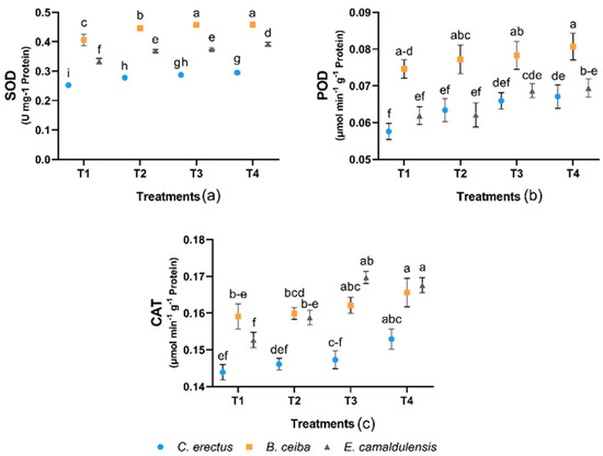 Atmosphere | Free Full-Text | Effect of Dust Types on the Eco ...
