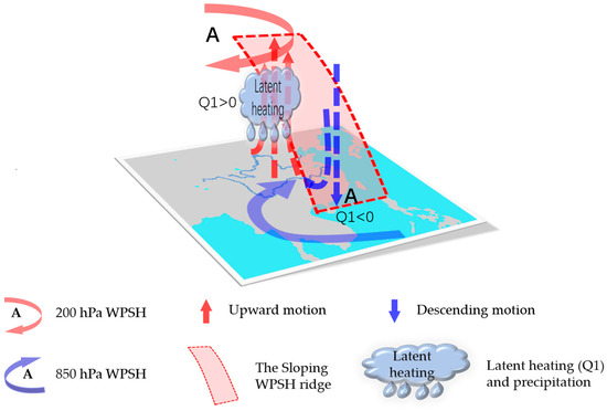 Three-Dimensional Structural Anomalies of the Western Pacific ...
