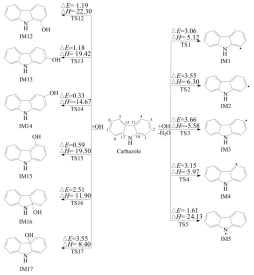 Theoretical Perspectives on the Gas-Phase Oxidation Mechanism and ...