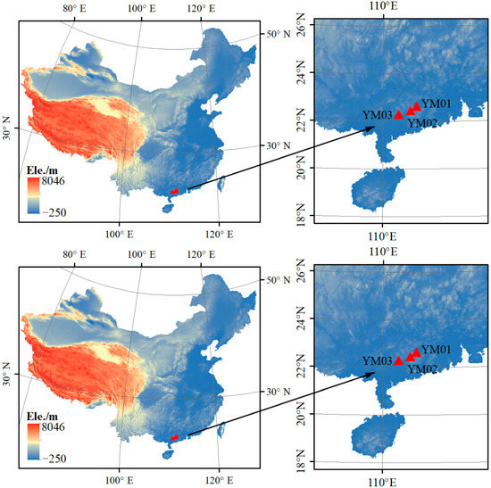A Combined Linear–Nonlinear Short-Term Rainfall Forecast Method Using GNSS-Derived PWV