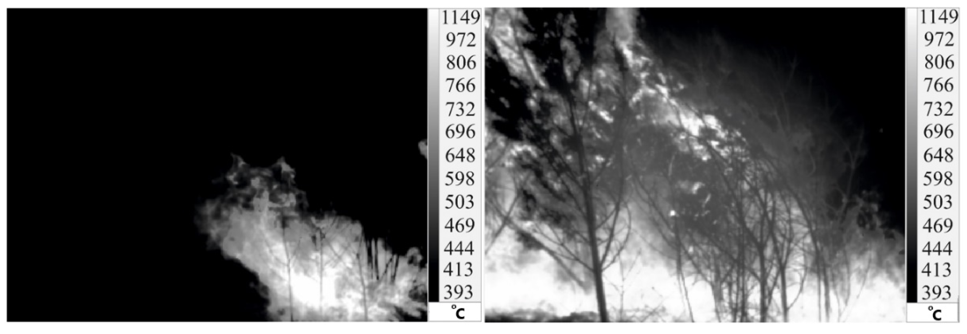 Crown Fire Modeling and Its Effect on Atmospheric Characteristics