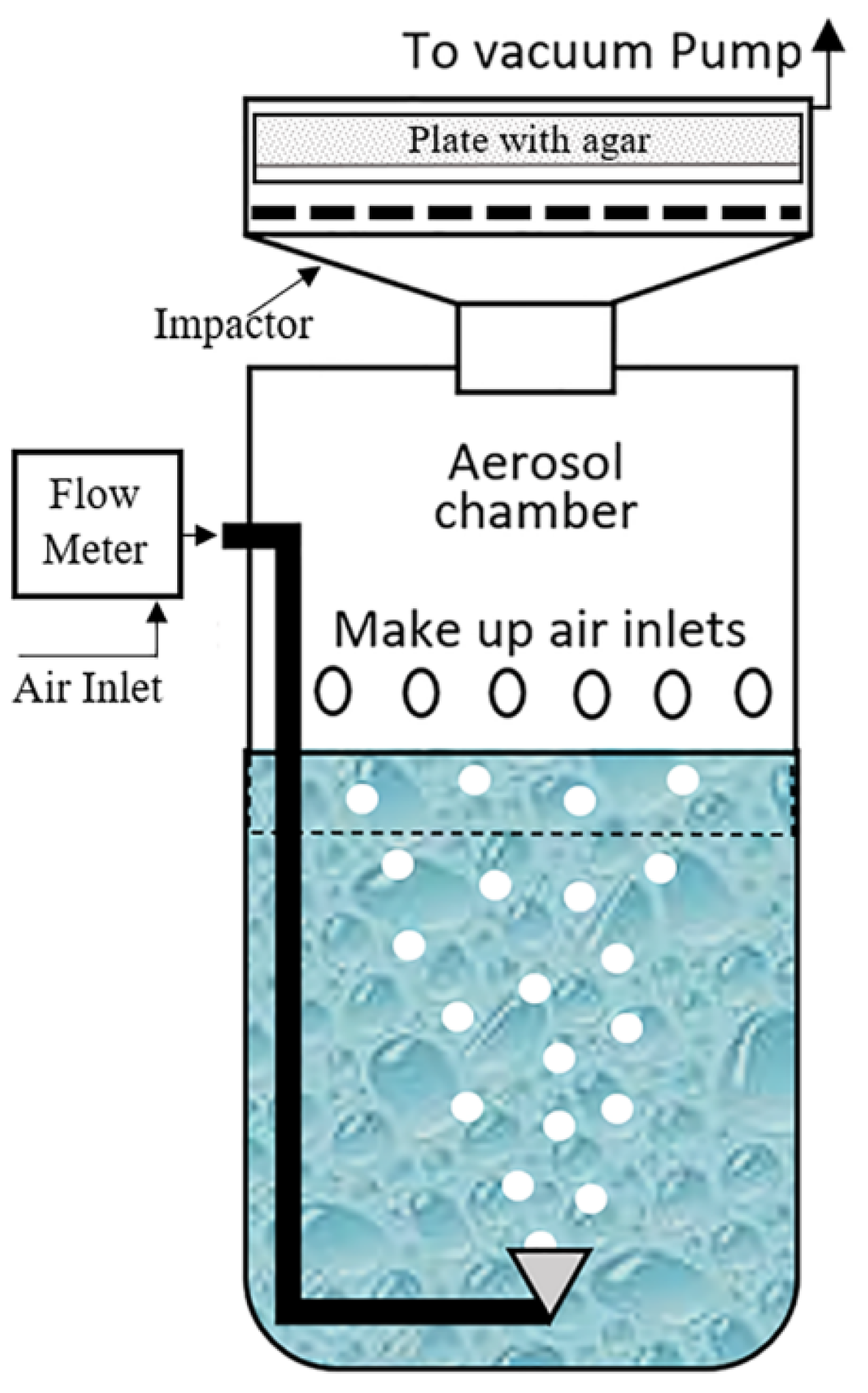 Bioaerosol Release from Concentrated Microbial Suspensions in Bubbling ...