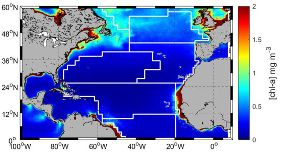 The Role of Phytoplankton Biomacromolecules in Controlling Ocean ...