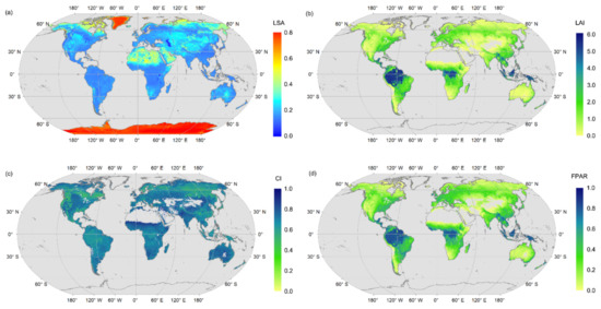 Reponses of Land Surface Albedo to Global Vegetation Greening: An ...