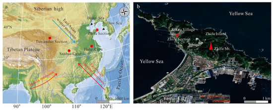 Grain Size Characteristics of MIS 5 Sediments and Evolution of the East ...