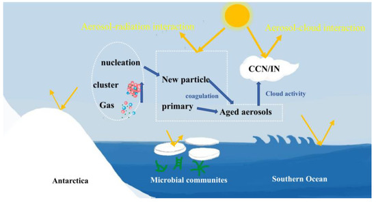 Atmospheric Particle Number Concentrations and New Particle Formation ...