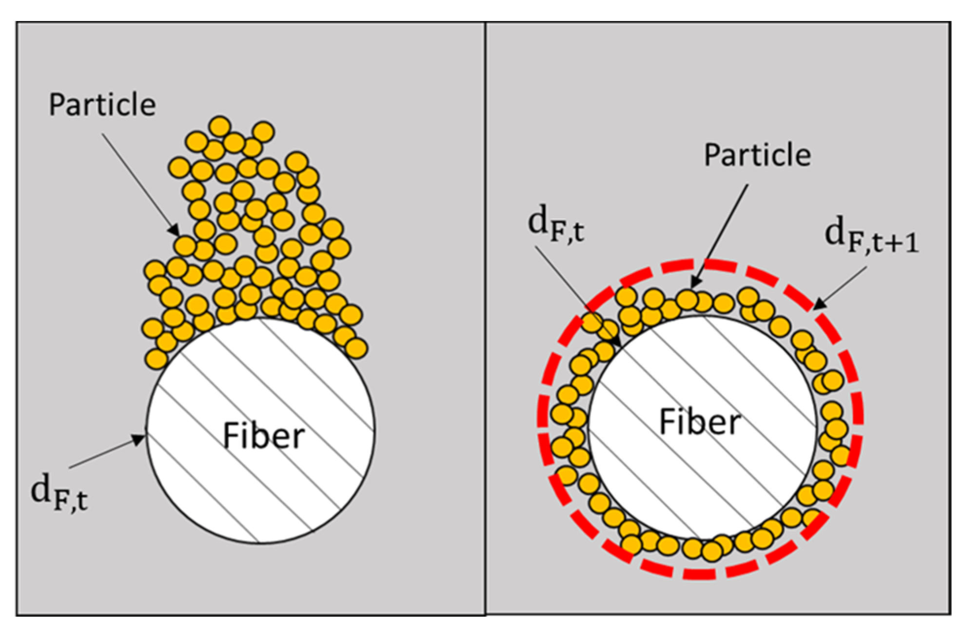 Filtration Kinetics Of Depth Filters—modeling And Comparison With Tomographic Data Of Particle