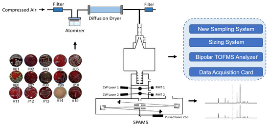 Bioaerosol Identification by Wide Particle Size Range Single Particle ...