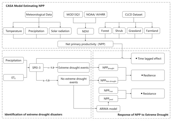 Sensitivity of Vegetation Productivity to Extreme Droughts across the ...