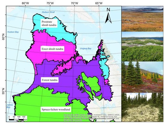 Patterns and Drivers of Change in the Normalized Difference Vegetation ...