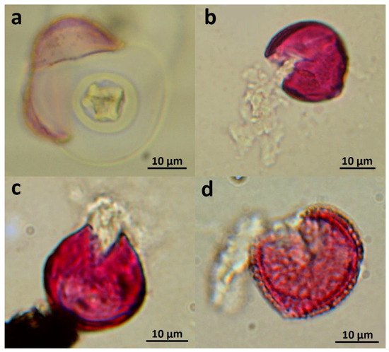 Interaction between Air Pollutants and Pollen Grains: Effects on Public ...