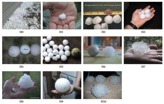Hail: Mechanisms, Monitoring, Forecasting, Damages, Financial ...