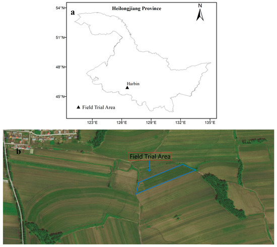 Effects of Temperature on Growth and Grain Maturity of Spring Maize in ...