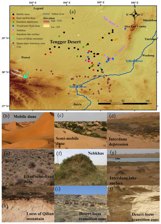 Multi-Scale Analysis of Grain Size in the Component Structures of ...
