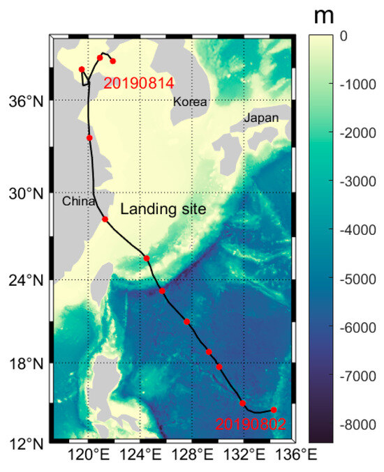 Response of Sea Surface Temperature and Chlorophyll-a to Typhoon Lekima ...