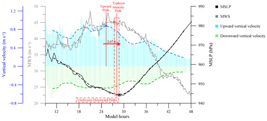 A Review of Typhoon Inner Core Characteristics and Their Relationship ...