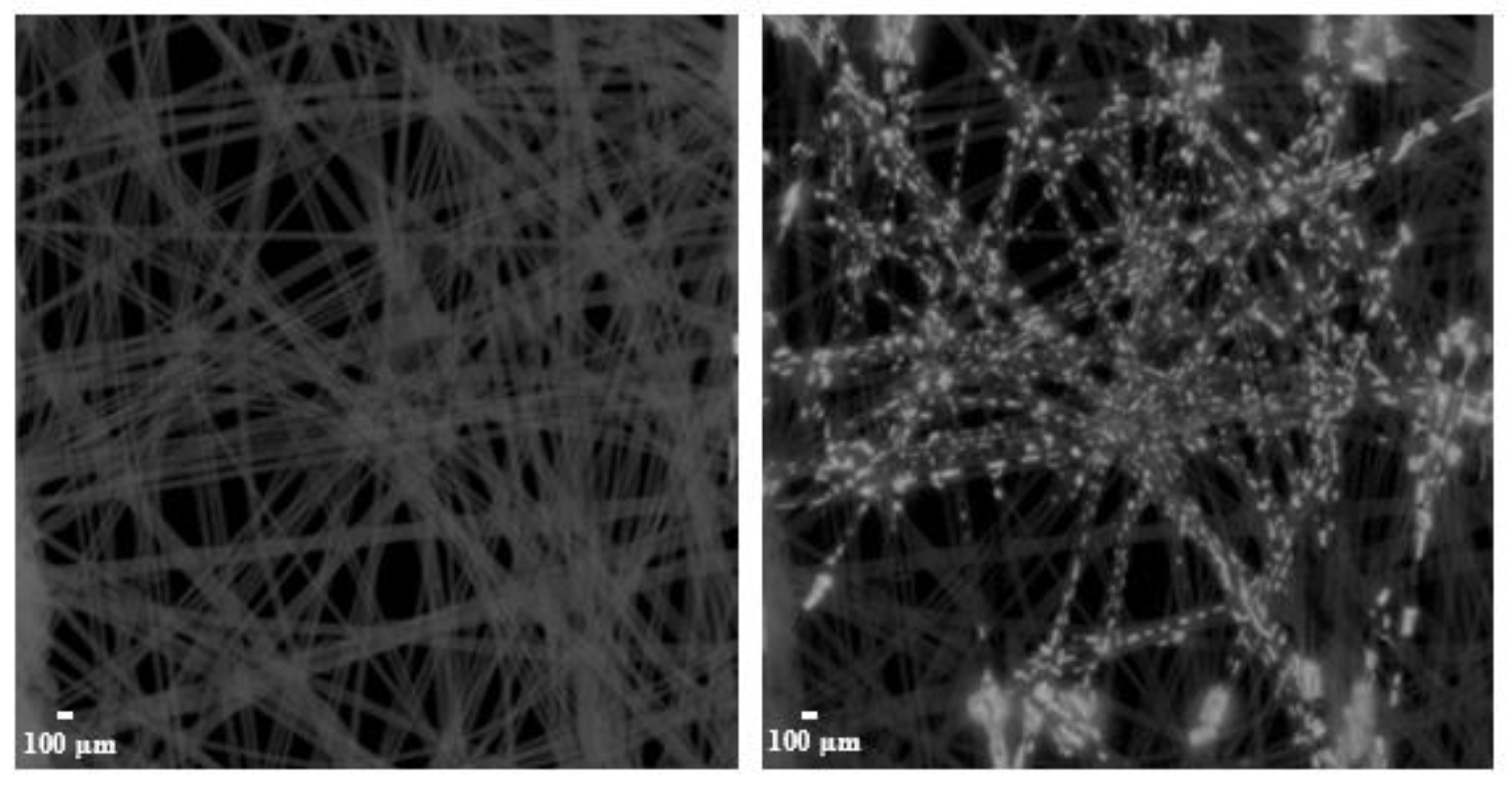 Influence of Humidity on the Electric Field, Filtration Efficiency, and ...