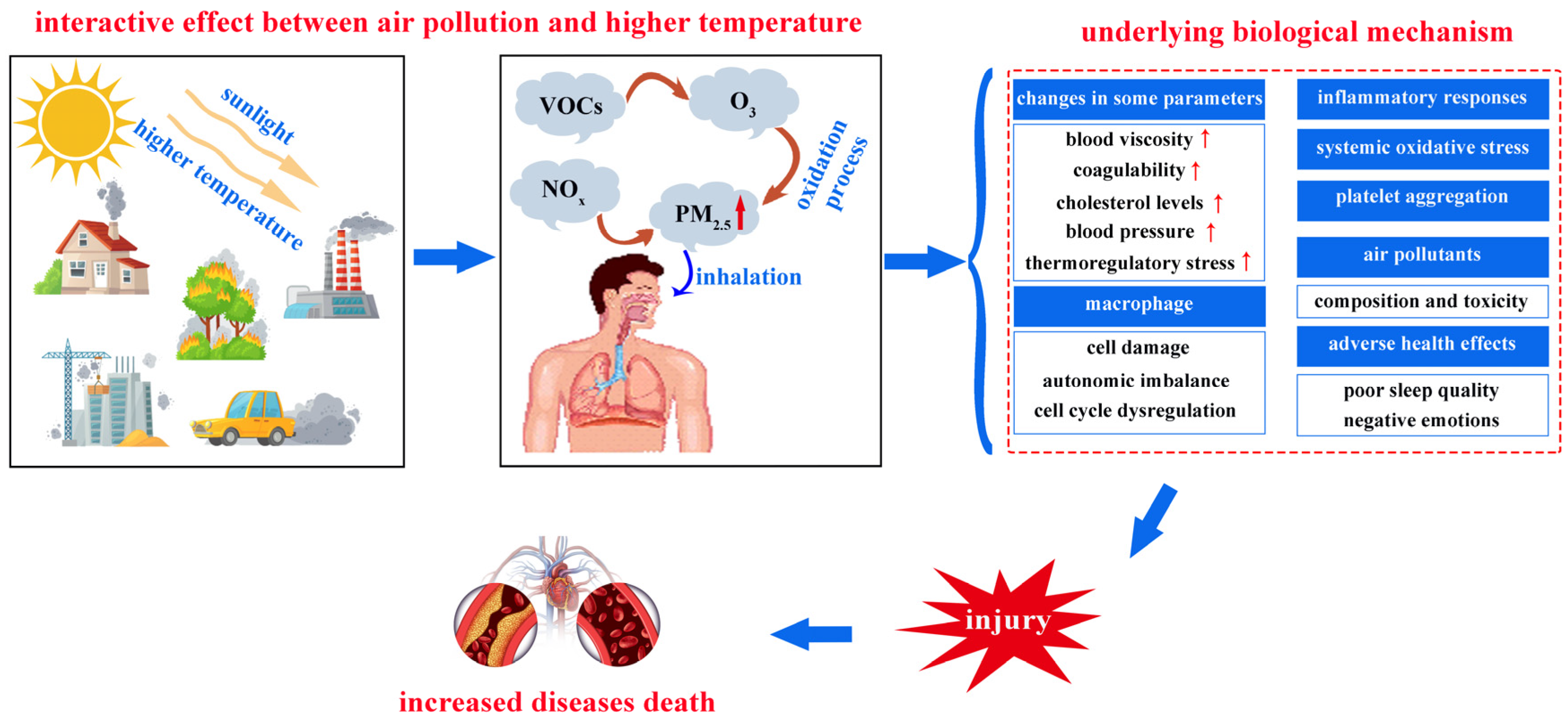 Effects Of Thermal Pollution On Human Health