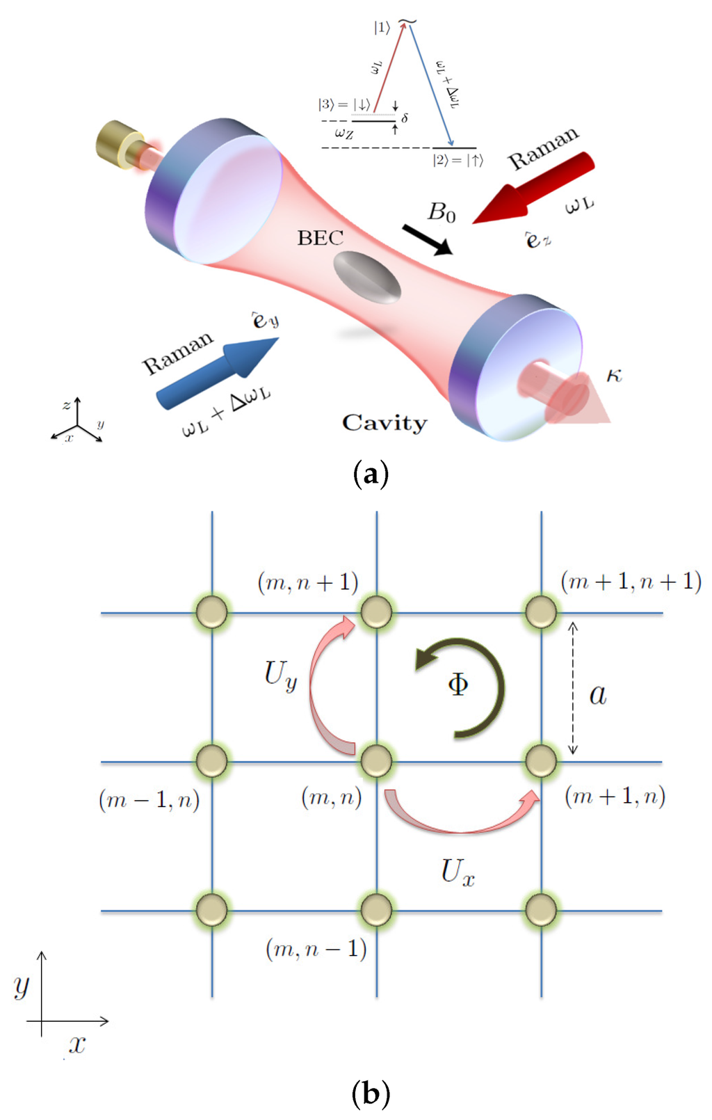 Atoms | Special Issue : Cavity Quantum Electrodynamics with Ultracold Atoms