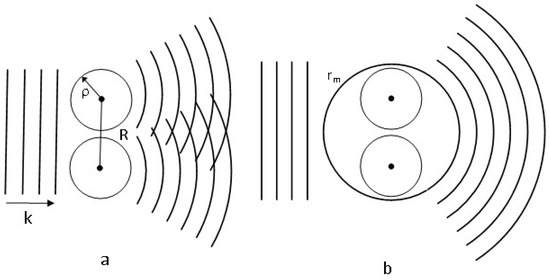 Interference Phenomenon in Electron-Molecule Collisions