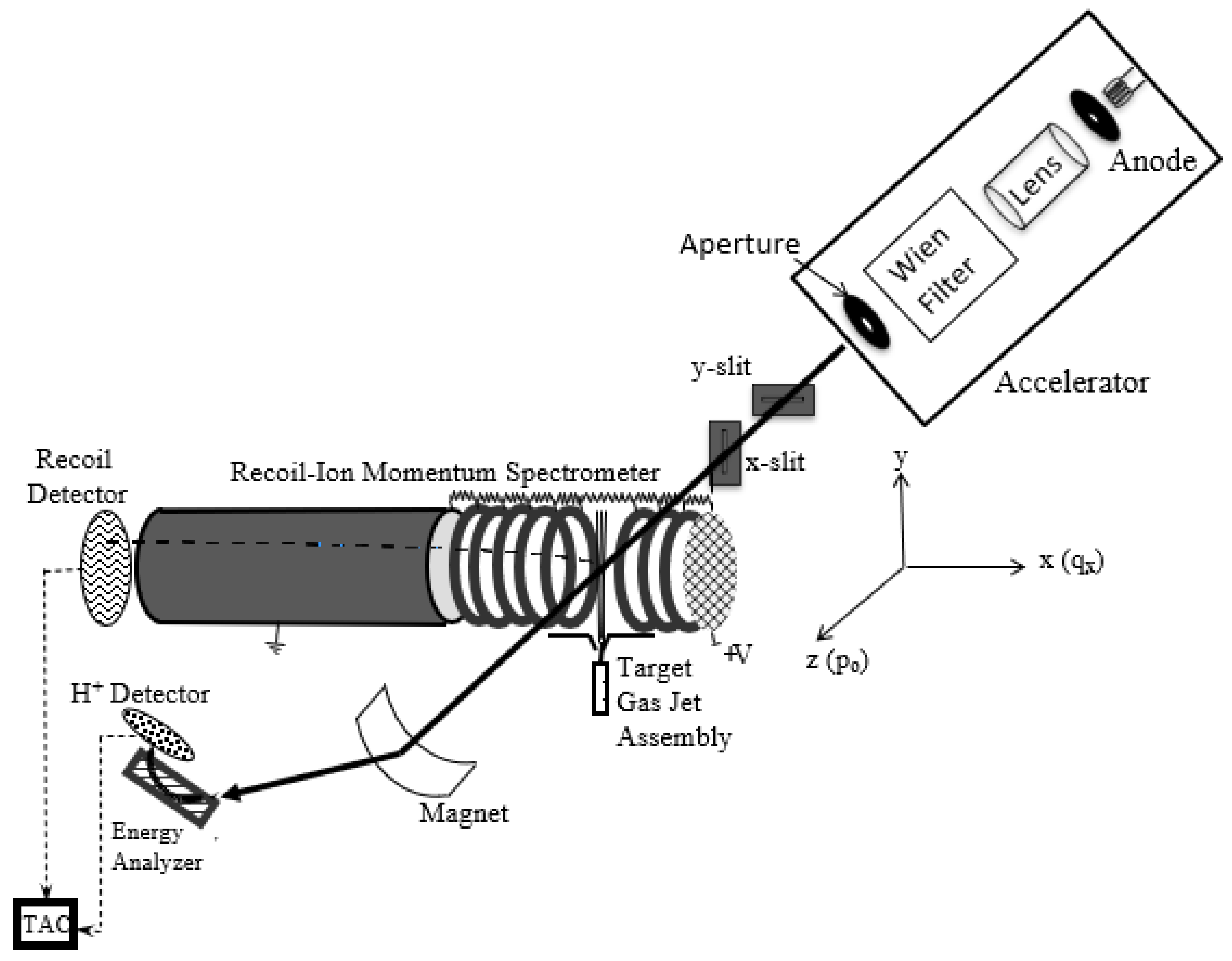 Interference Effects in Fully Differential Ionization Cross Sections ...