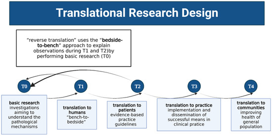 Translational Research in Audiology: Presence in the Literature