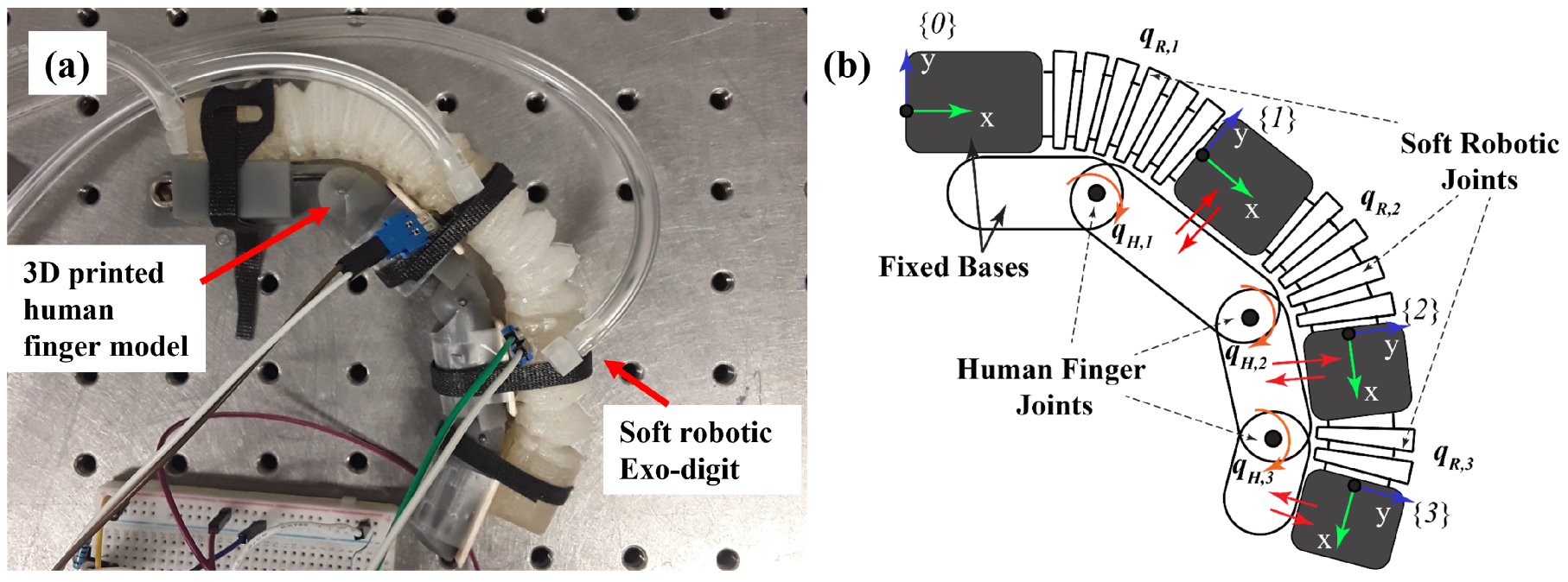 Trajectory Control in Discrete-Time Nonlinear Coupling Dynamics of a Soft Exo-Digit and a Human ...