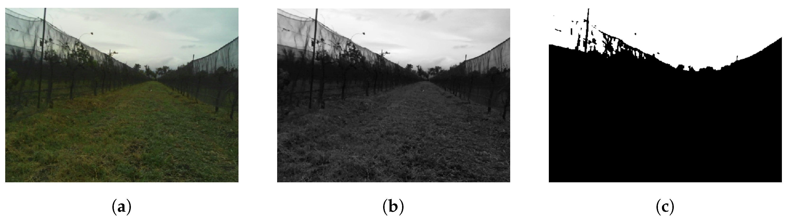 Autonomous Navigation And Crop Row Detection In Vineyards Using Machine 3593