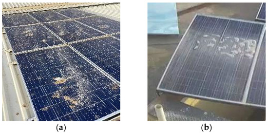 Automation | Free Full-Text | Deep Learning-Based Detection and ...