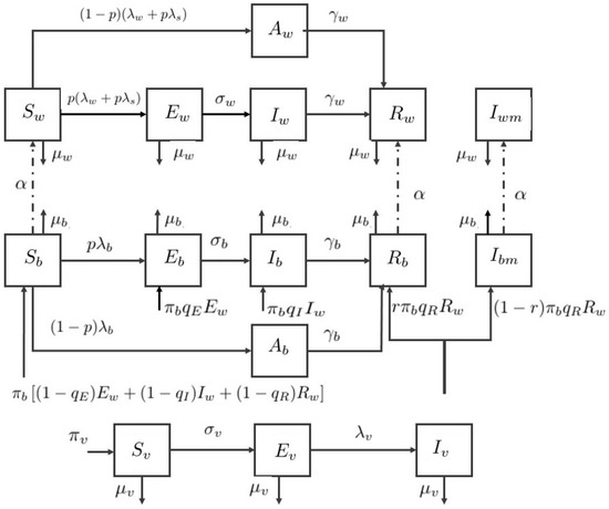 Axioms | Special Issue : Mathematical Analysis and Applications