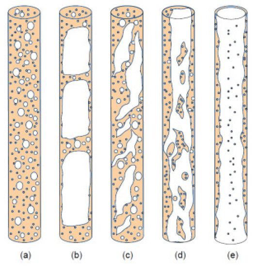 Experimental Study of Void Fraction Measurement Using a Capacitance ...