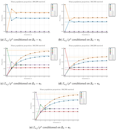 Limiting Behaviors of Stochastic Spread Models Using Branching Processes
