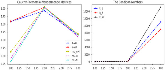 The Stability Analysis of Linear Systems with Cauchy—Polynomial-Vandermonde Matrices