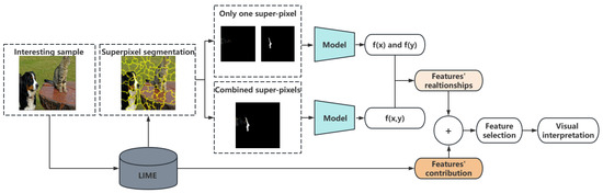 Interpretable Model-Agnostic Explanations Based on Feature ...
