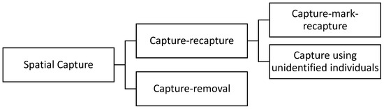 An Enhanced Spatial Capture Model for Population Analysis Using Unidentified Counts through ...