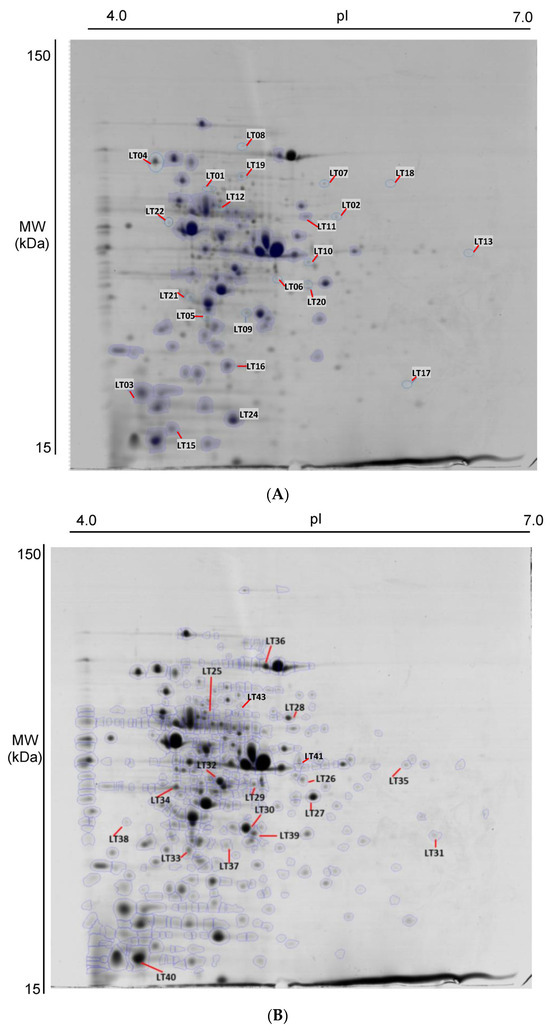 Role of Curing Agents in the Adaptive Response of the Bioprotective ...