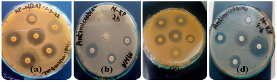 Comprehensive Analysis of Klebsiella pneumoniae Culture Identification ...