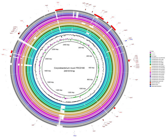 First Pangenome of Corynebacterium rouxii, a Potentially Toxigenic ...