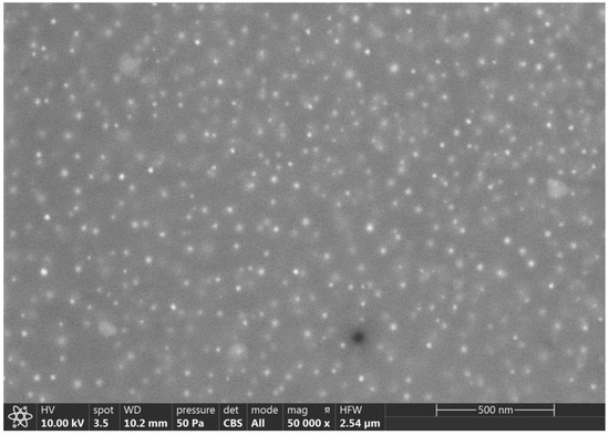 Tackling Microbial Contamination: Safesink Solution with Silver-Coated ...