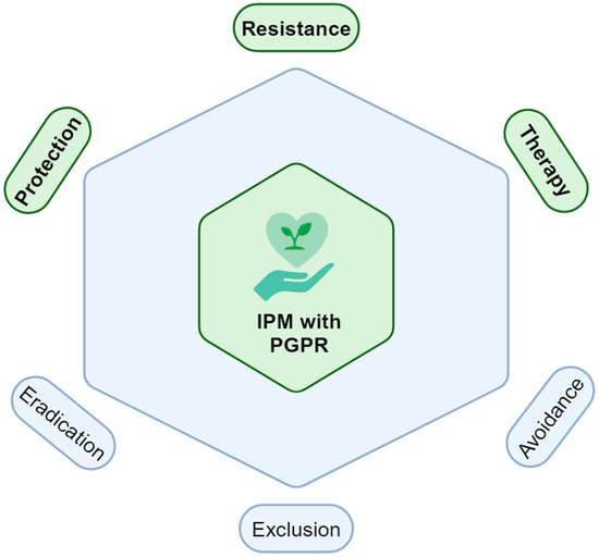 Utilizing Plant Growth-Promoting Rhizobacteria (PGPR) to Advance ...