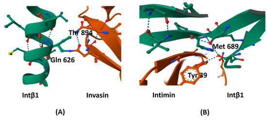 Investigating the Distribution of Intimin and Invasin in Aeromonas ...