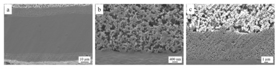 Lightweight Polymer-Carbon Composite Current Collector for Lithium-Ion ...