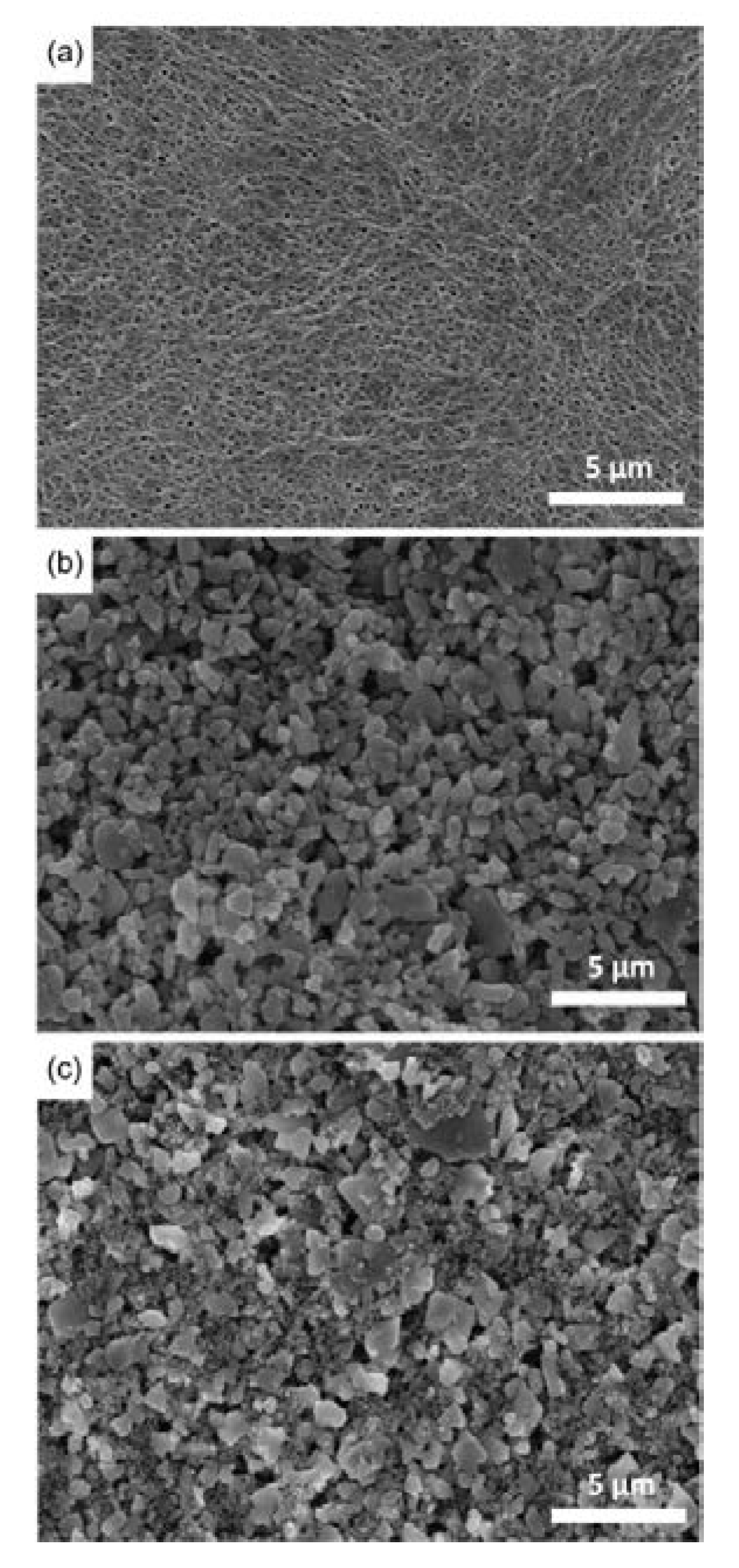 Synergistic Effect of Dual-Ceramics for Improving the Dispersion ...